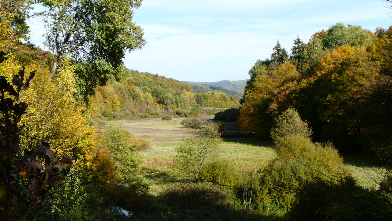 Naturschutzgebiete – Biosphärenregion Spessart?
